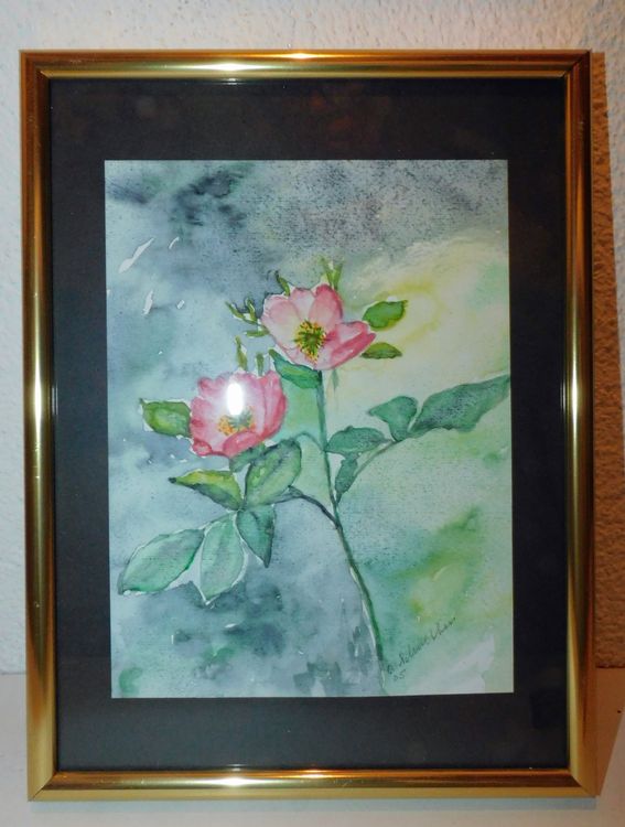 Neue Fundschätze - Kunst Aquarell signiert 24 x 18 cm (Gebraucht) in Sursee für CHF 10 – nur ...