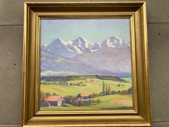 Anneler Karl. Berner Alpen (Gebraucht) in Frauenfeld für CHF 430 – mit ...