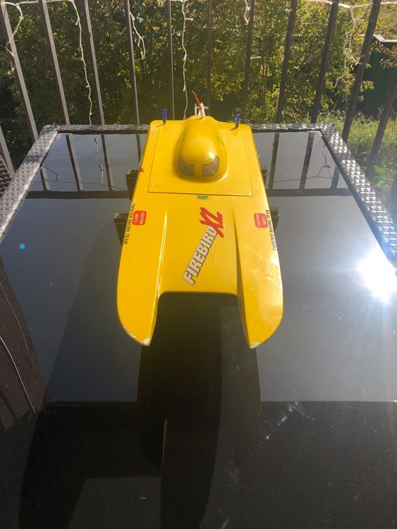 RC Katamaran Ripmax Firebird (Gebraucht) in Thalwil für CHF 74 – nur ...