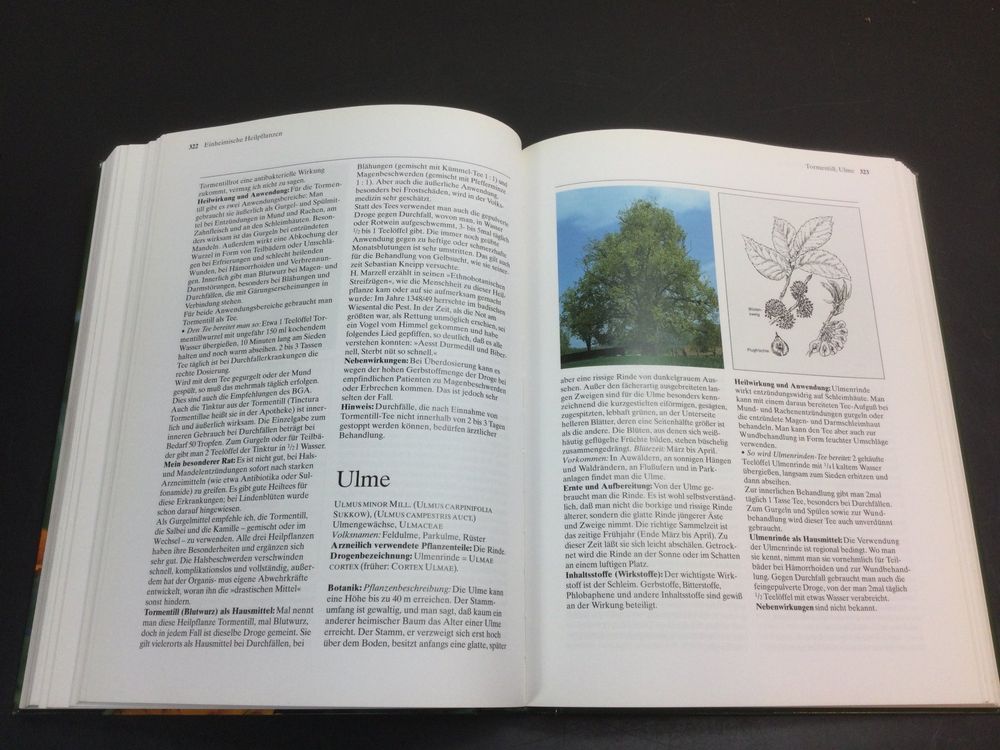 Buch Gesund durch die Heilkräfte der Natur (Gebraucht) in Wangen SZ für ...