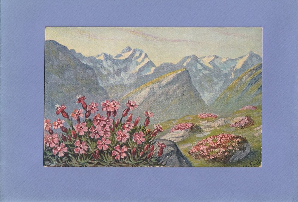 Johannes Walter Früh | Kaufen auf Ricardo