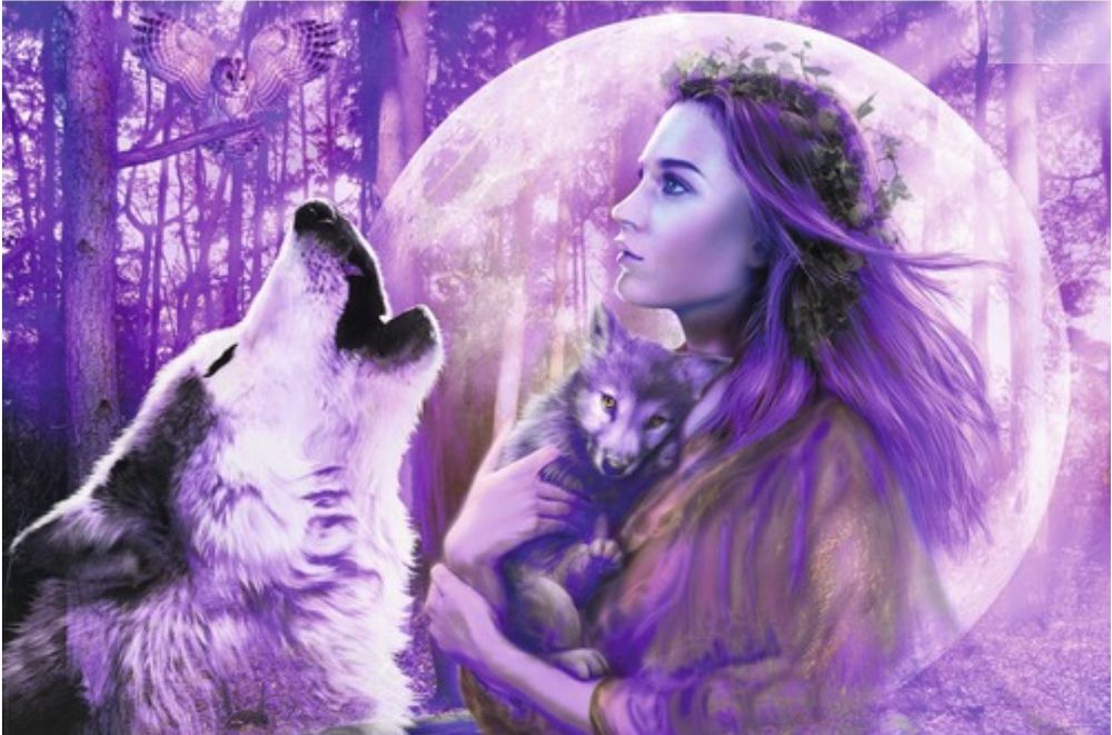 Reinders Poster Harvest Moon (Neu und originalverpackt) in Dürnten für ...