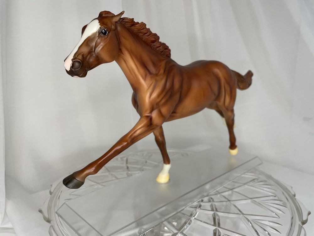 Breyer Rags to Riches (Neu (gemäss Beschreibung)) in Luzern für CHF 85 ...