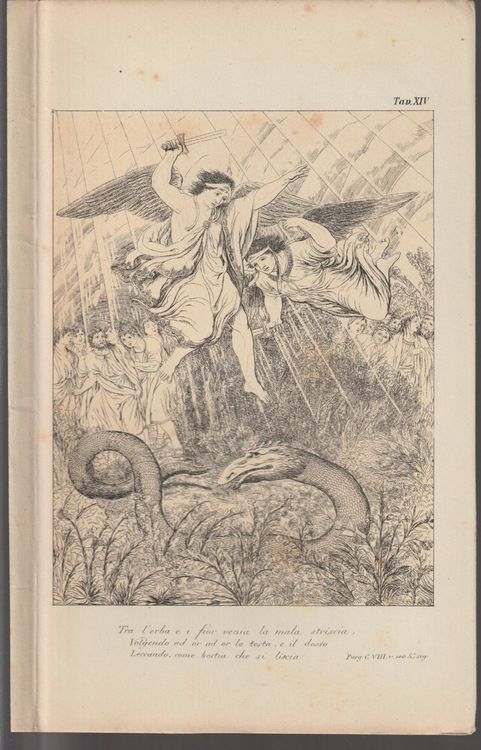 print DANTE divine comedy Purgatorio chant VIII v 100 Angels (Gebraucht ...