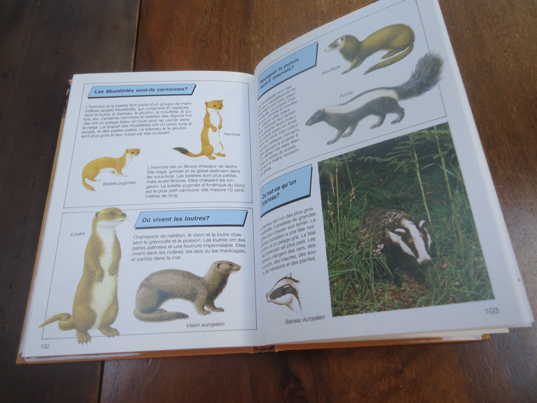 Le monde animal en questions et réponses (D'occasion) à Vessy pour CHF ...