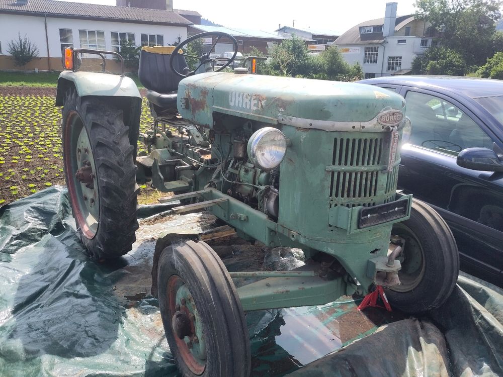 Bührer Standart MFD 4/10 restaurations objekt Traktor Oldi (Gebraucht ...