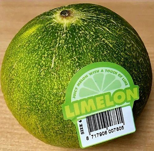 Ab 5.- fr 5 Samen LIMELON Zarte Melone mit Limettengeschmack (Neu und ...