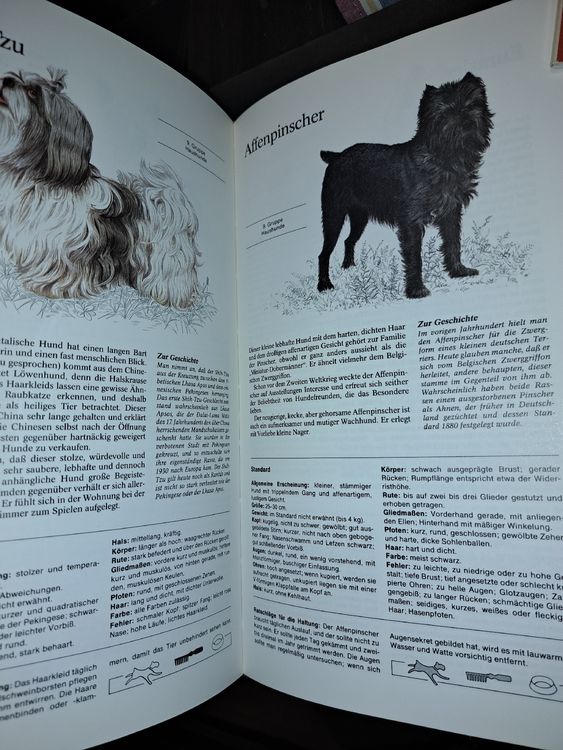 Mein Freund der Hund: Wissen über Hunde, Pflege, Vintage (Gebraucht) in ...