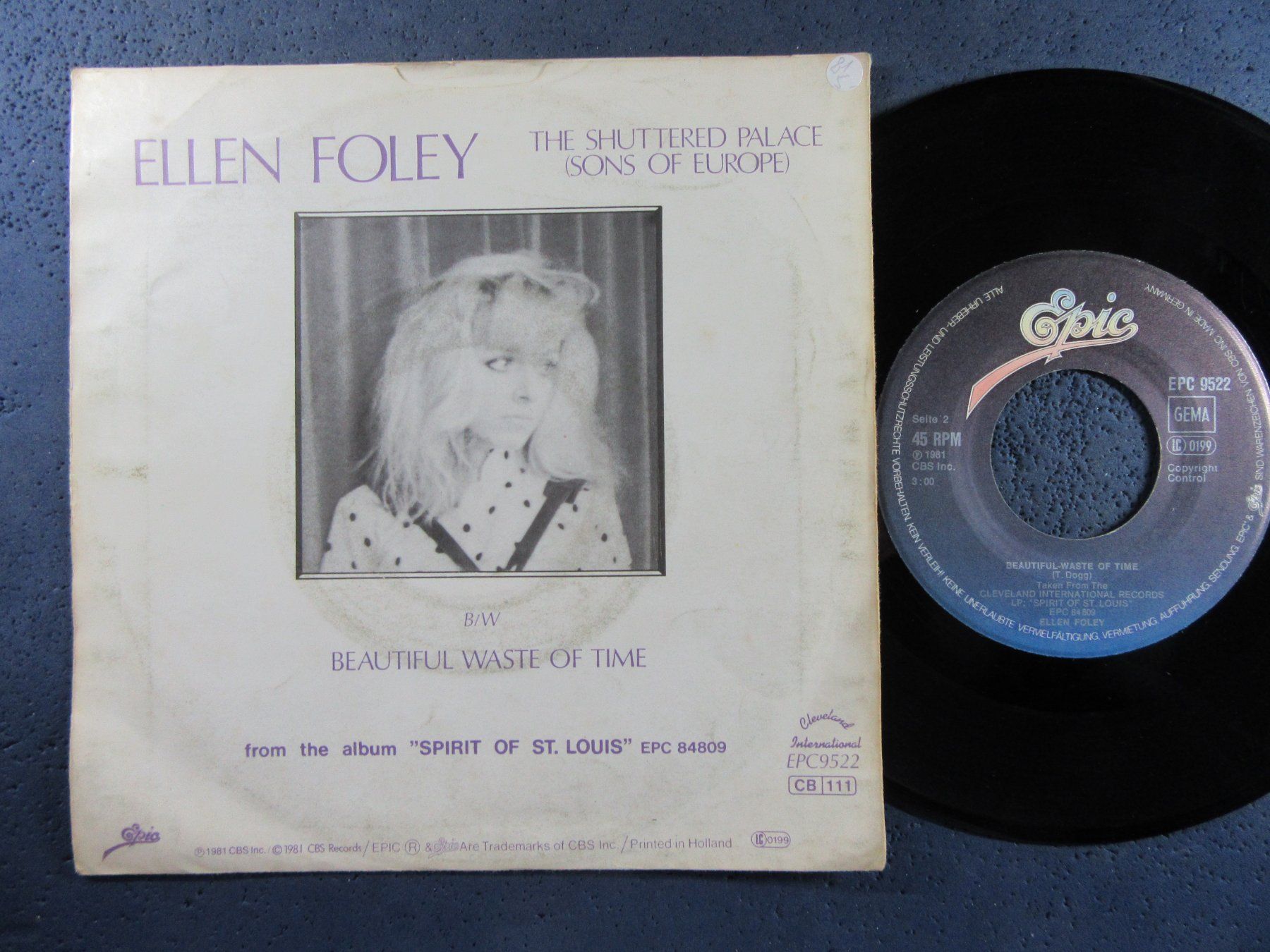 ELLEN FOLEY "THE SHUTTERED PALANCE " BEAUTIFUL WASTE OF TIME (Gebraucht ...