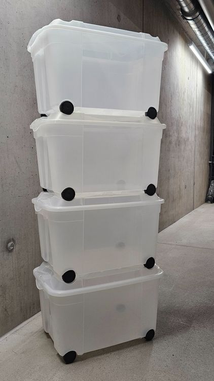 Rotho Rollbox mit Deckel - 15 Stück im Set | Kaufen auf Ricardo