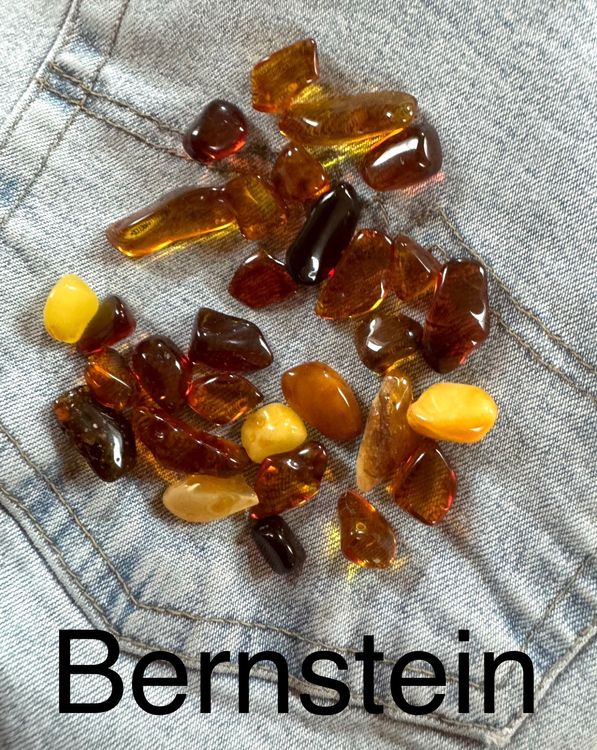 Bernstein Amber top Unikate zum Sammeln interessant (Neu und ...
