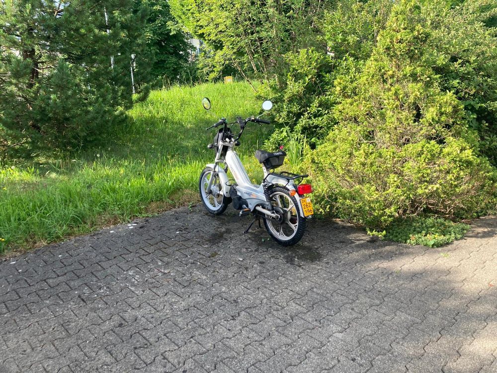 Tomos Quaoro Töffli | Kaufen auf Ricardo