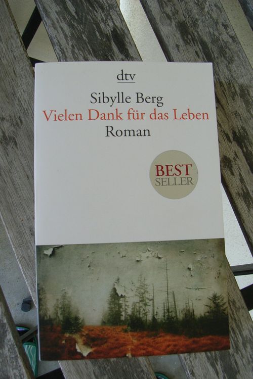 Sibylle Berg Vielen Dank für das Leben dtv Roman Bestseller (Gebraucht) in Zürich für CHF 5.95 ...