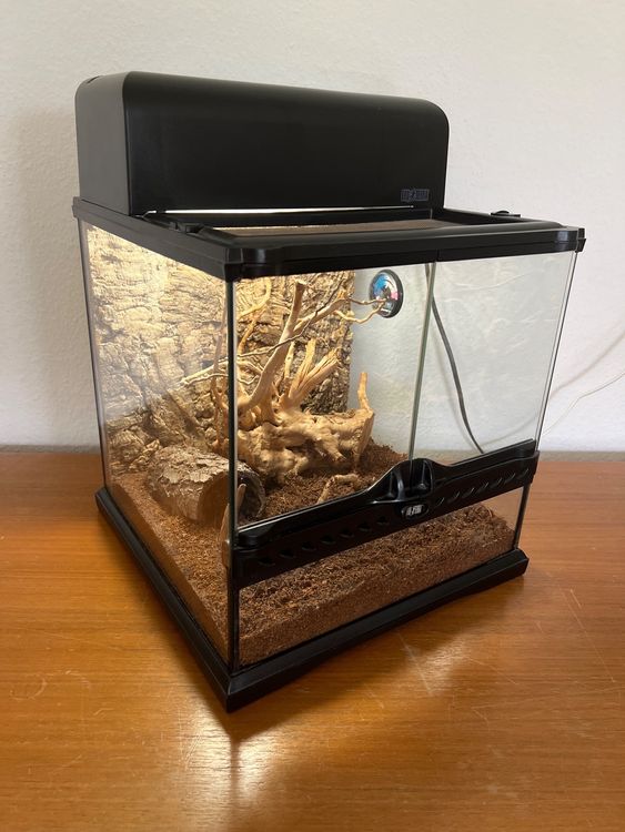 Exo Terra Terrarium 30x30x30 (Gebraucht) in Oberrieden für CHF 56 – nur Abholung auf Ricardo kaufen