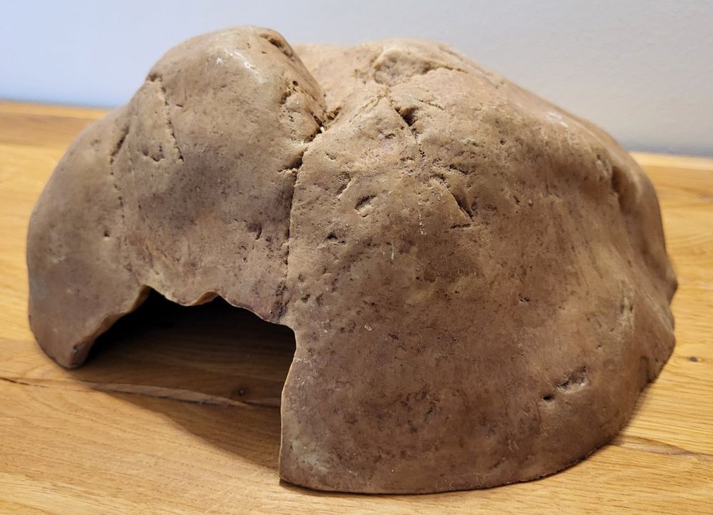 Exo Terra Reptile Cave extra-gross (Gebraucht) in Rüschlikon für CHF 17 ...