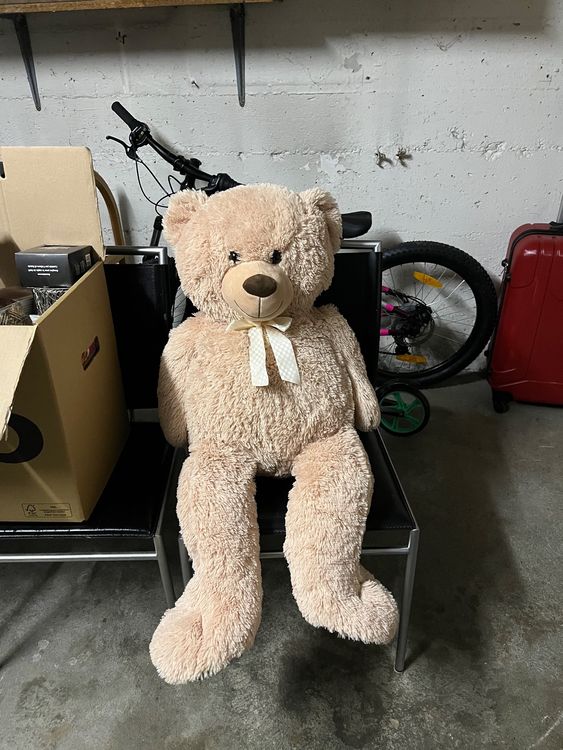 Teddy aus Plüsch | Kaufen auf Ricardo