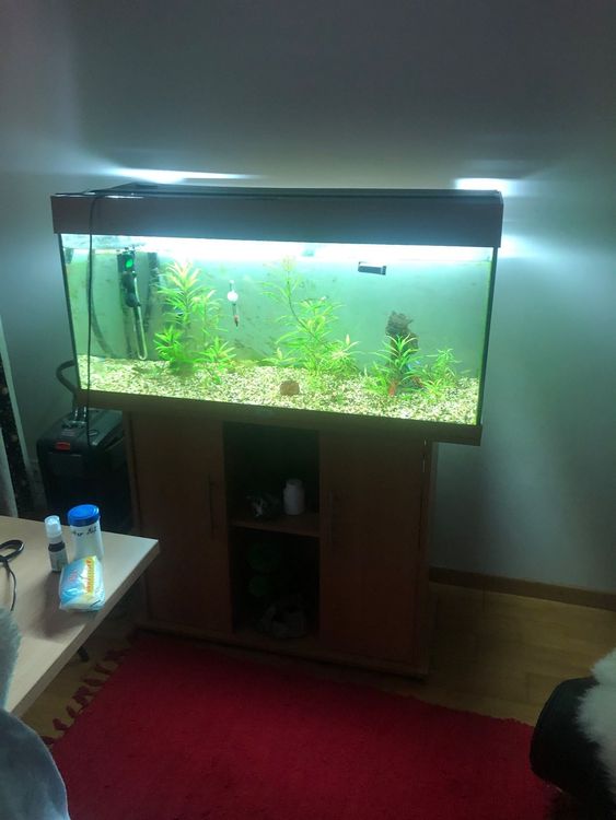 Juwel Aquarium 180 Liter mit orig. Schrank | Kaufen auf Ricardo