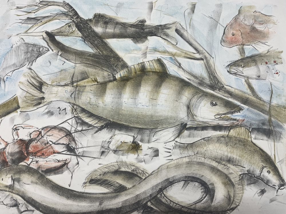 aus Grafiksammlung Lithografie / Szene mit Fischen 1 (Gebraucht) in Gelterfingen für CHF 10 ...