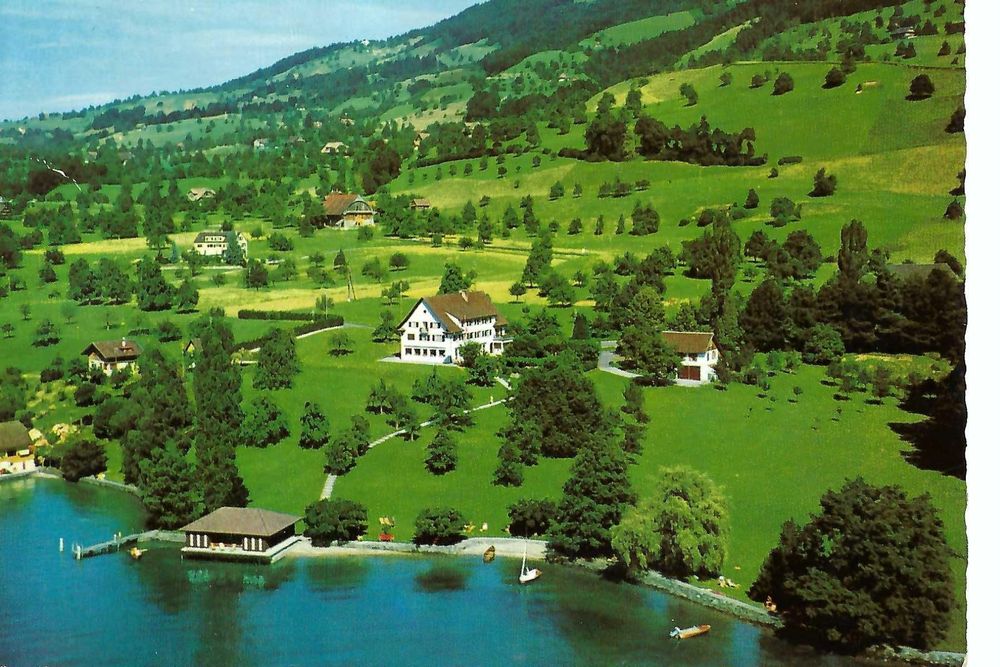 KÜssnacht Am Rigi Hotel Eichholtern Fam J Zimmermann 1964 Kaufen