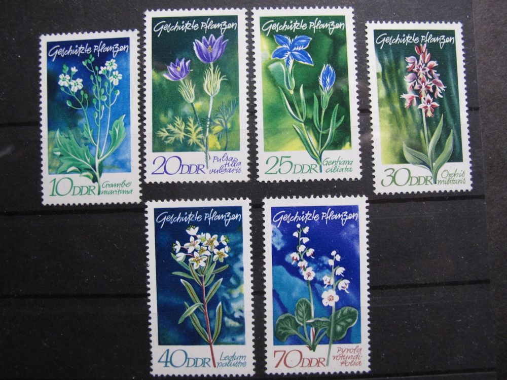 DDR 1970 Geschützte Pflanzen ** (Gebraucht) in Wil SG für CHF 1.5 – mit Lieferung auf Ricardo kaufen