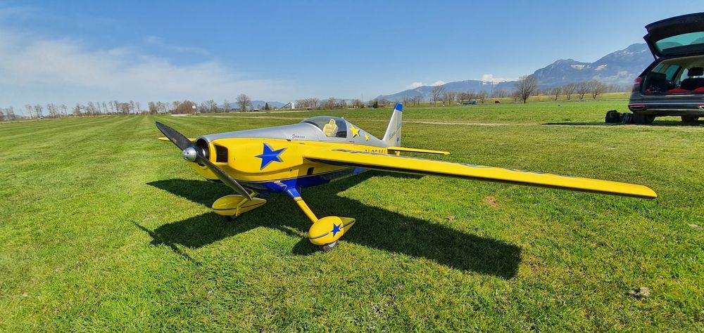 3W Wigens Z250 (Gebraucht) in Balgach für CHF 650 – nur Abholung auf Ricardo kaufen