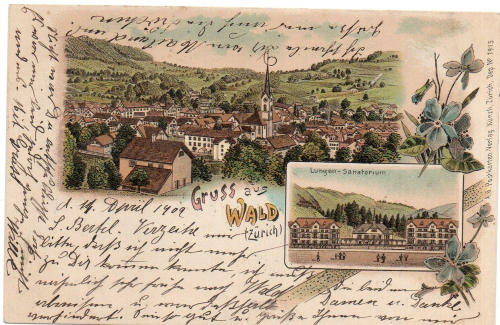 Gruss aus Wald ZH (Gebraucht) in Wetzikon ZH für CHF 19 – mit Lieferung auf Ricardo kaufen