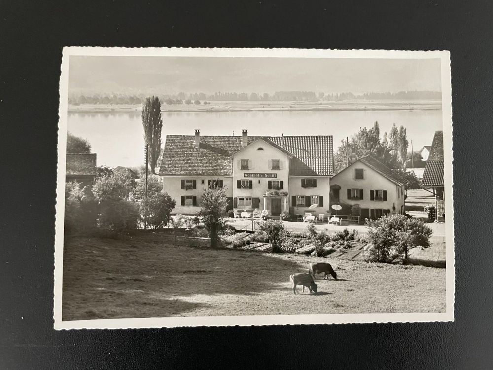 AK SG Bollingen bei Rapperswil, Zürichsee, Gasthof Schiff (Gebraucht) in Thal für CHF 16 – mit ...