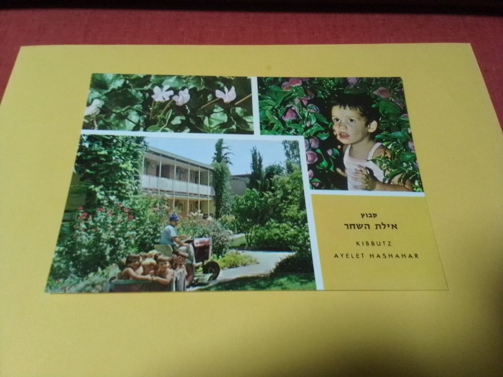 AK Israel Kibbutz Ayelet Hashahar (12) | Kaufen auf Ricardo