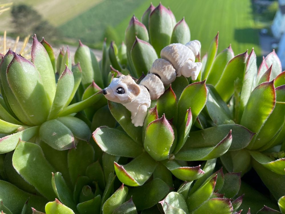 Mini Frettchen Wackelfigur (S) - Braun/Weiss - 3D Druck (Neu (gemäss ...