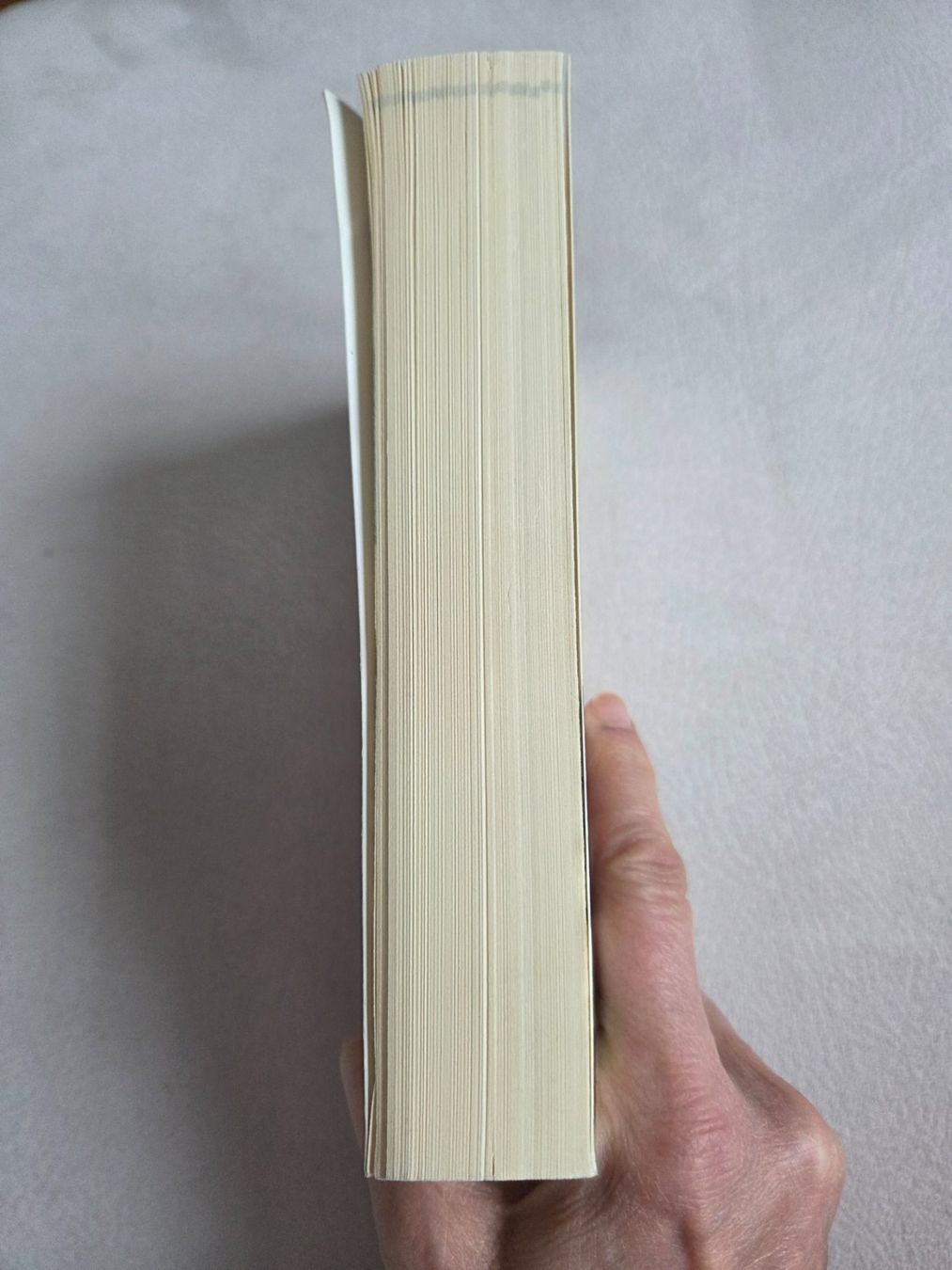 Ayaan Hirsi Ali - Mein Leben, meine Freiheit - Autobiografie (Gebraucht ...