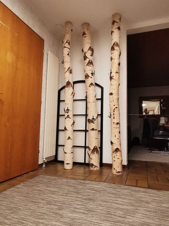 Spannende Birkenstämme Günstig Kaufen Bilder