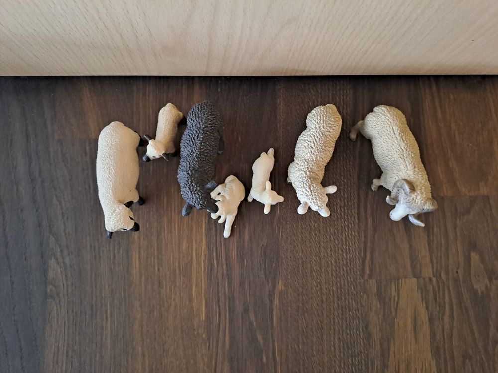 Schleich Schaf Herde (3 Schafe, 1 Schafbock, 3 Lämmer) (Gebraucht) in Suhr für CHF 20 – mit ...