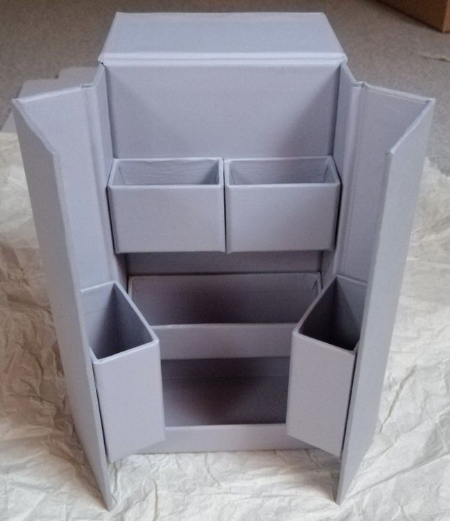 Box aus stabilem Hartkarton (Neu (gemäss Beschreibung)) in Oberriet SG ...