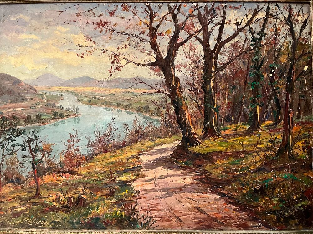 VICTOR HOFER - Landschaft sehr schönes Bild (Gebraucht) in Basel für ...