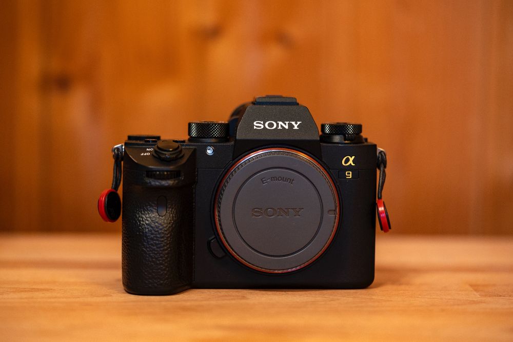 Sony Alpha 9 (Gebraucht) in Meggen für CHF 1800 – mit Lieferung auf ...