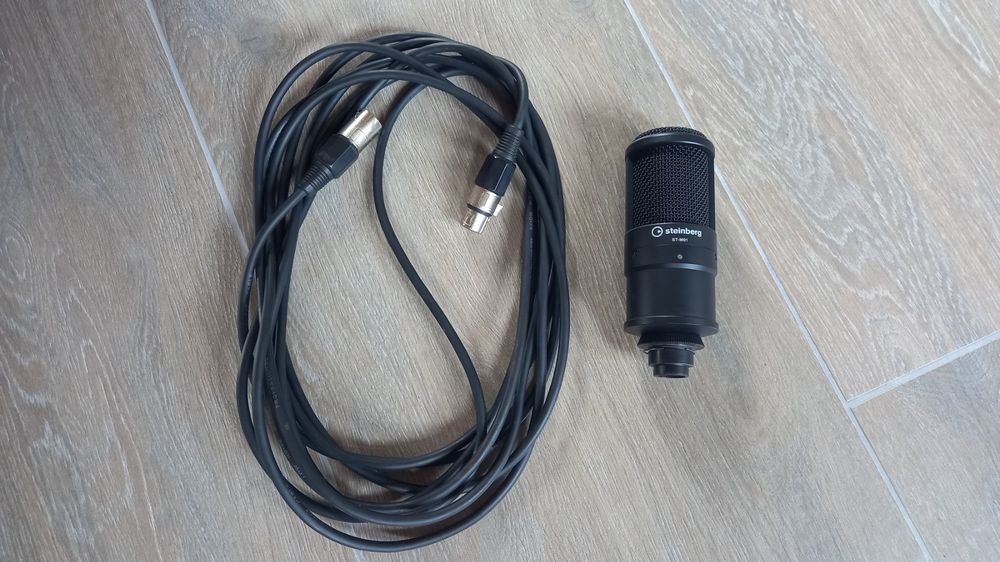 STEINBERG ST-M01 studio condenser microphone (Gebraucht) in Arveyes für ...