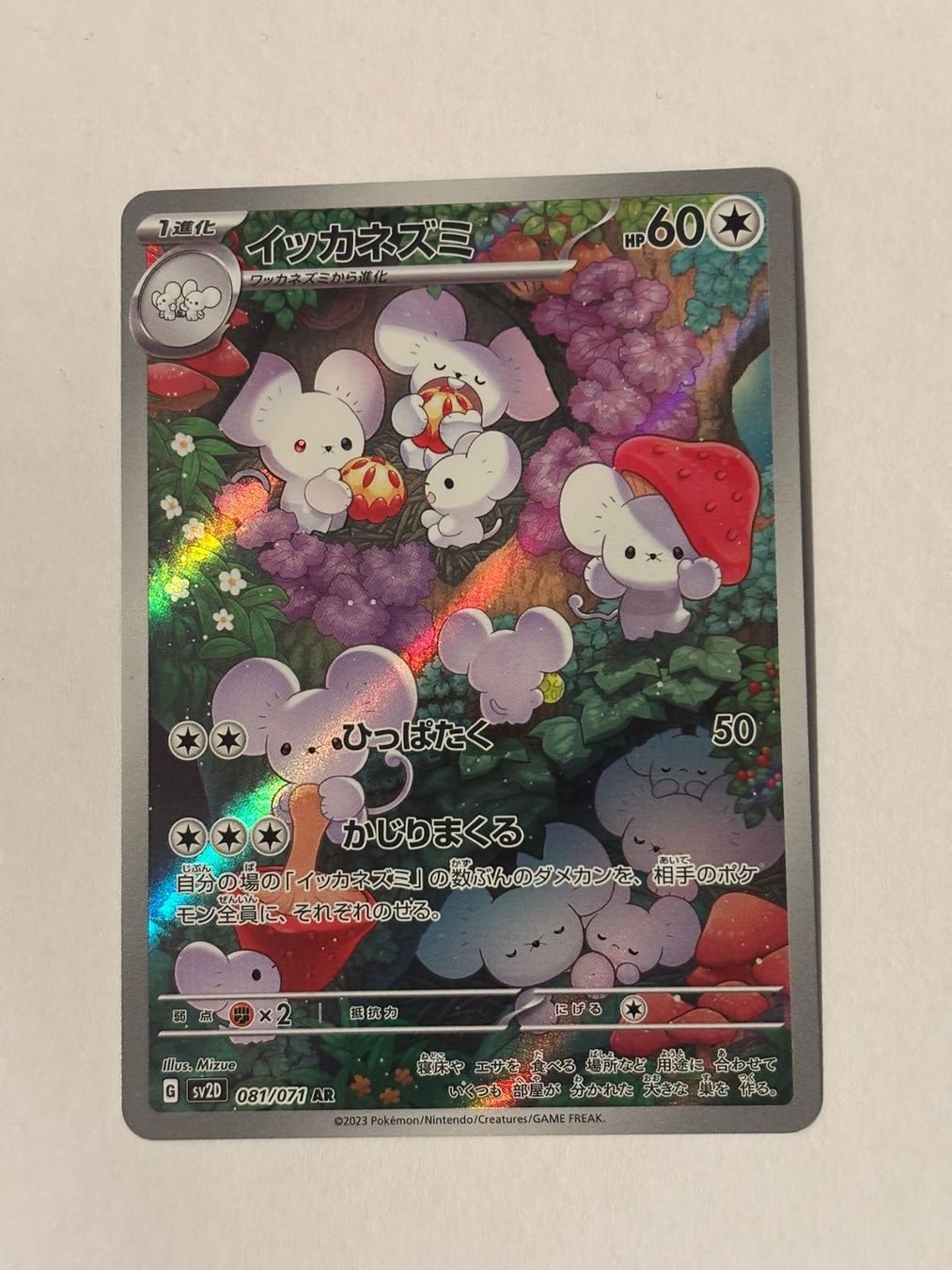 Pokémon Maushold – 081/071 – sv2D – Art Rare (JP) (Gebraucht) in St ...