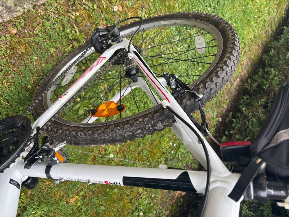 Leopard star cat White and Red everydays bike (Neu (gemäss Beschreibung ...