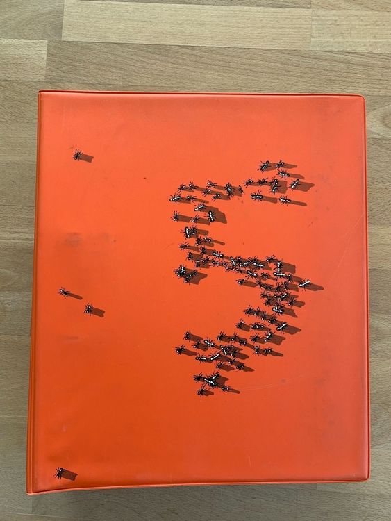 Documenta 5, Katalog, Kassel 1972 | Kaufen auf Ricardo