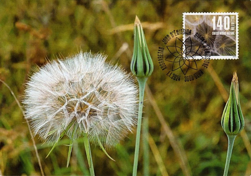 Maximumkarte Naturmuster - Samenstand | Kaufen auf Ricardo