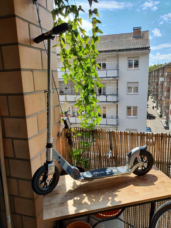 Micro Roller (Gebraucht) in Basel für CHF 55 – nur Abholung auf Ricardo ...