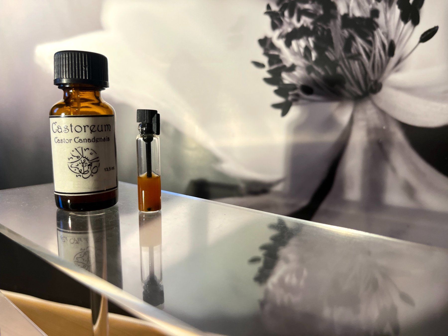 Castoreum Tincture - Echantillon (D'occasion) à Sierre pour CHF 13.9 ...