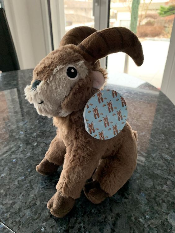 Coop Steinbock (Neu und originalverpackt) in Zuzwil SG für CHF 25 – mit Lieferung auf Ricardo kaufen