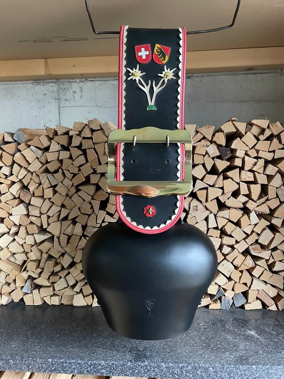 Treichel ab CHF 1.- (Gebraucht) in Altdorf für CHF 196 – mit Lieferung ...