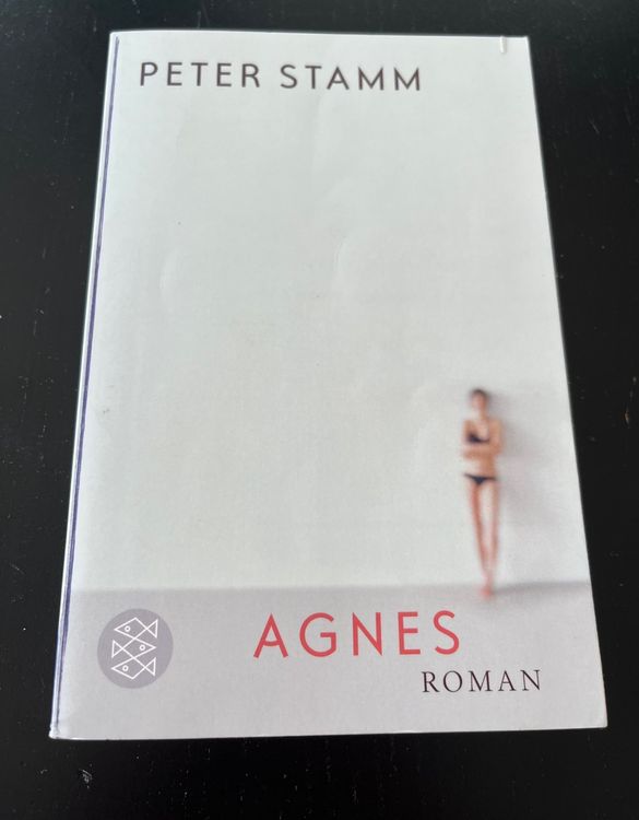 Peter Stamm – Agnes (en allemand), utilisé à l'école (Gebraucht) in ...