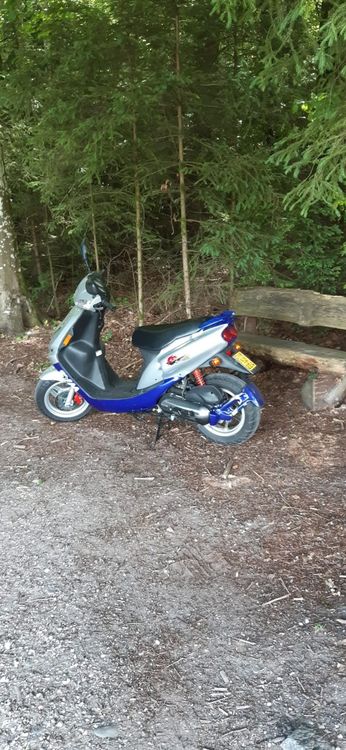 Kleinmotorrad SYM Jet 50 EuroX, Red Devil 50 E1 (Gebraucht) in Worb für ...