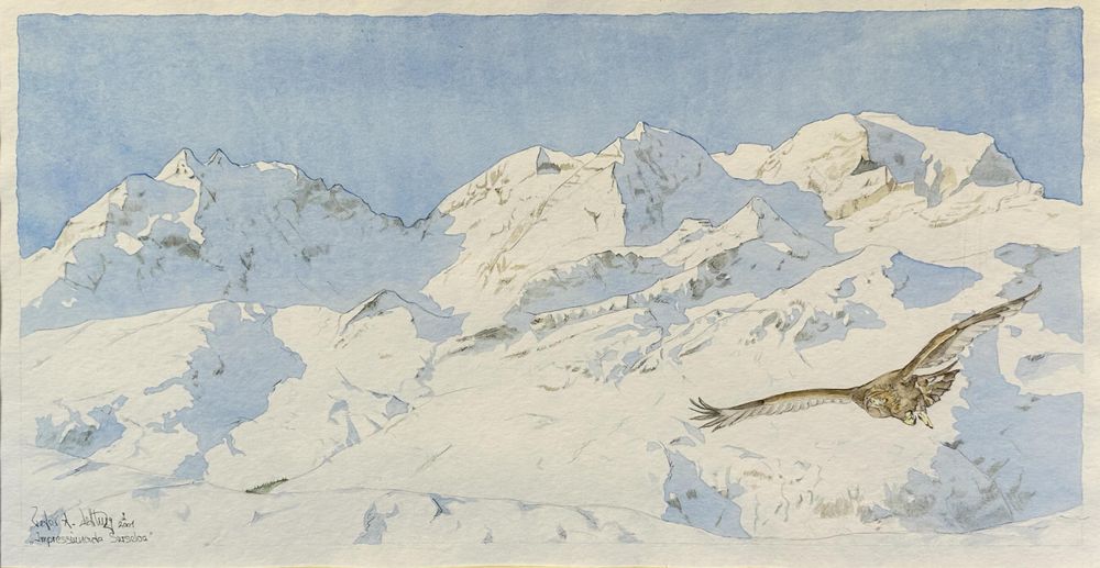 Peter A. Dettling - Swiss Art Selection (Gebraucht) in Sursee für CHF ...