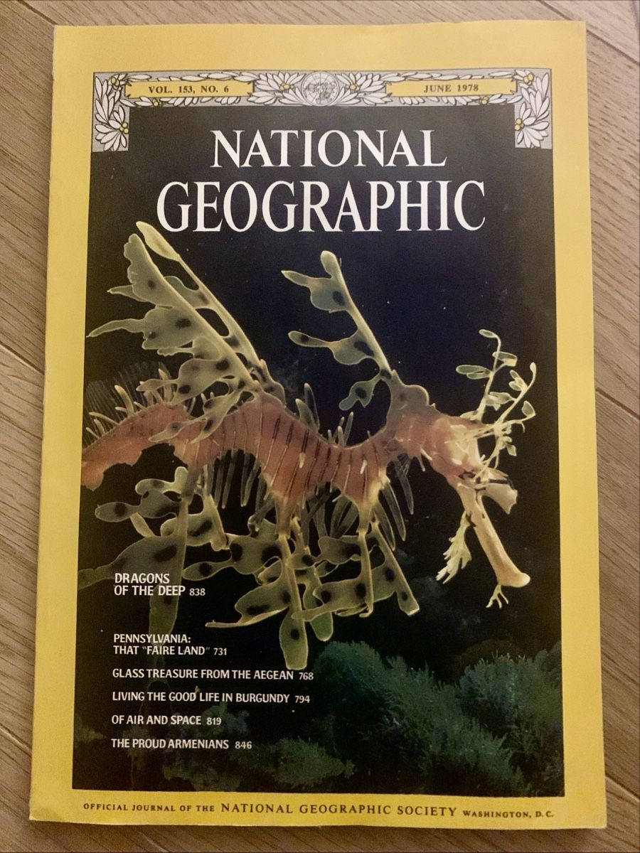 National Geographic Magazine Collection - Rare Issues! 1978 (Neu ...