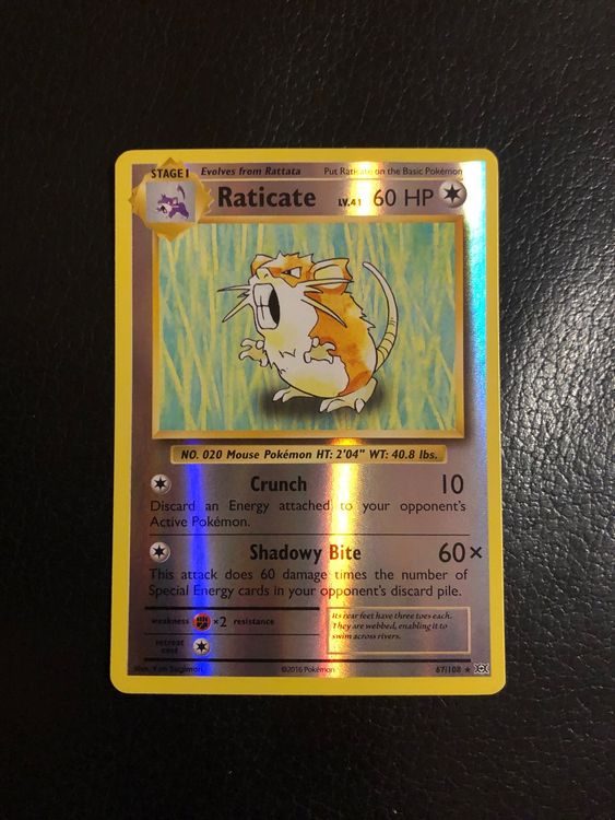 Evolutions Raticate reverse rare 67/108 NM Ab 1 | Kaufen auf Ricardo