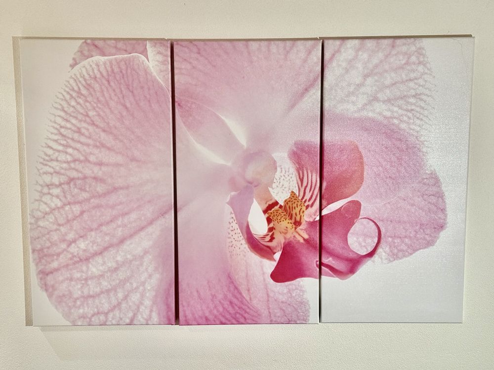 Orchideenbilder Trilogie | Kaufen auf Ricardo